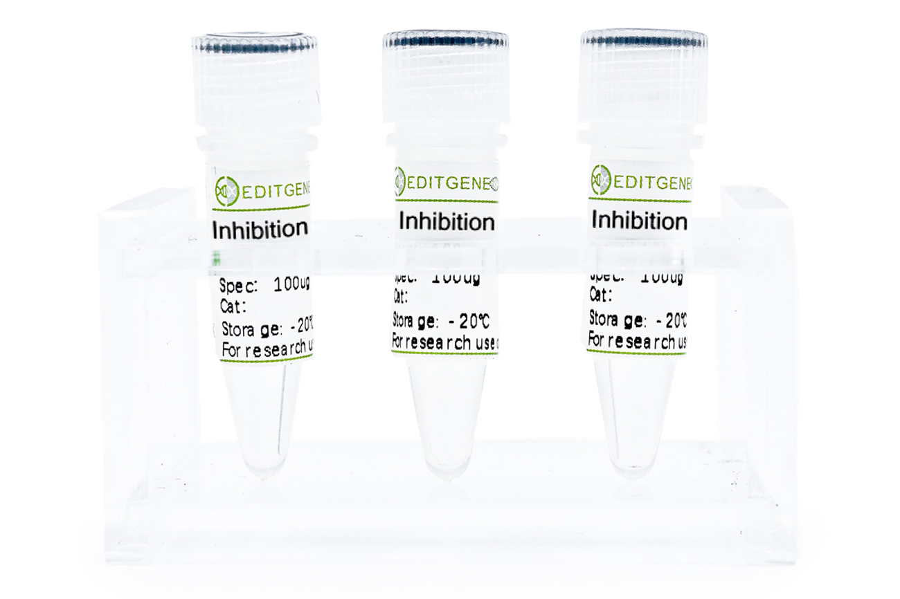 Human CRISPR Inhibition Pooled Library (Dolcetto) Company | CRISPR ...
