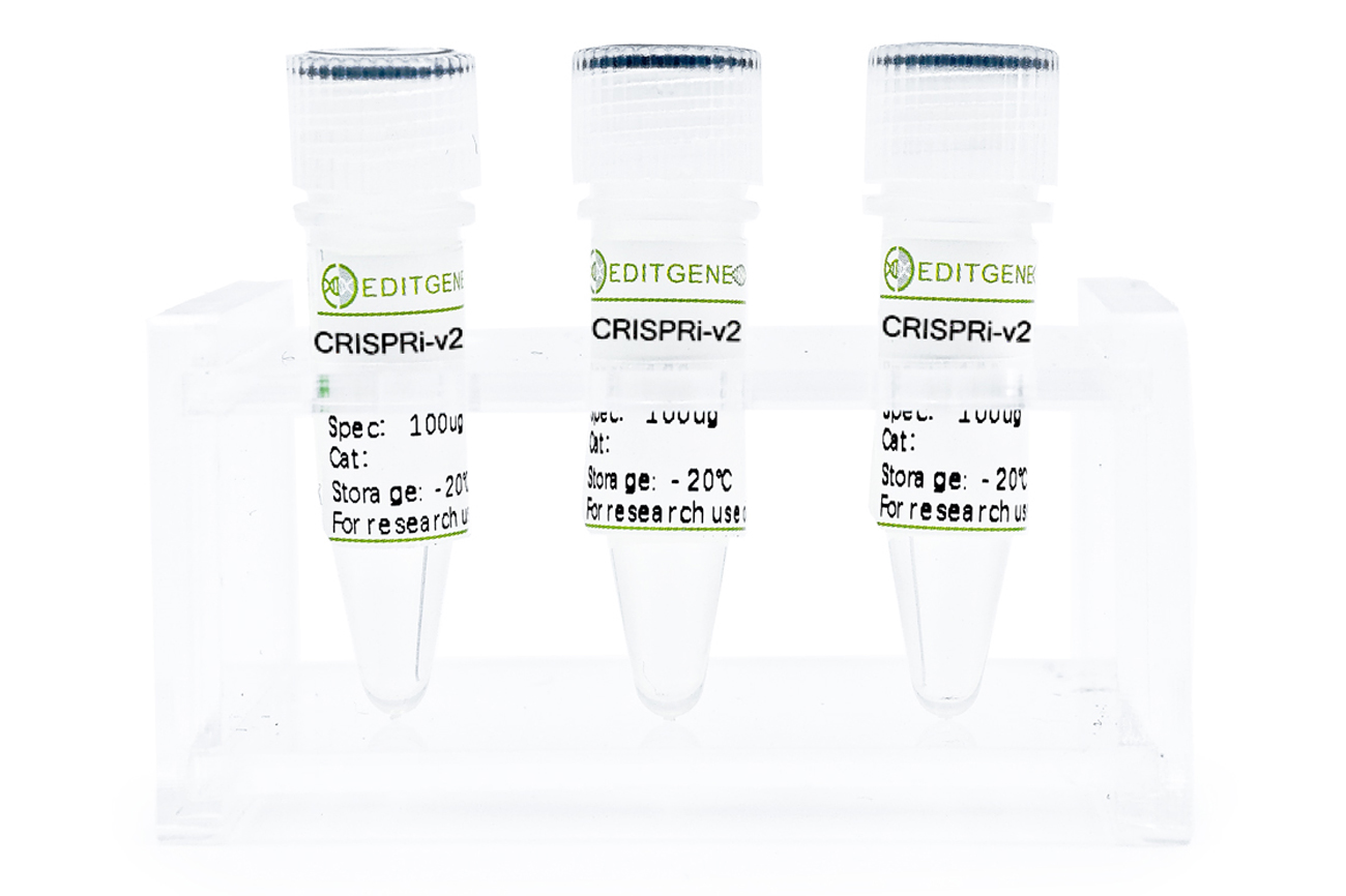 Human Subpooled CRISPRi-v2 Libraries-Membrane Proteins #83976 Company ...