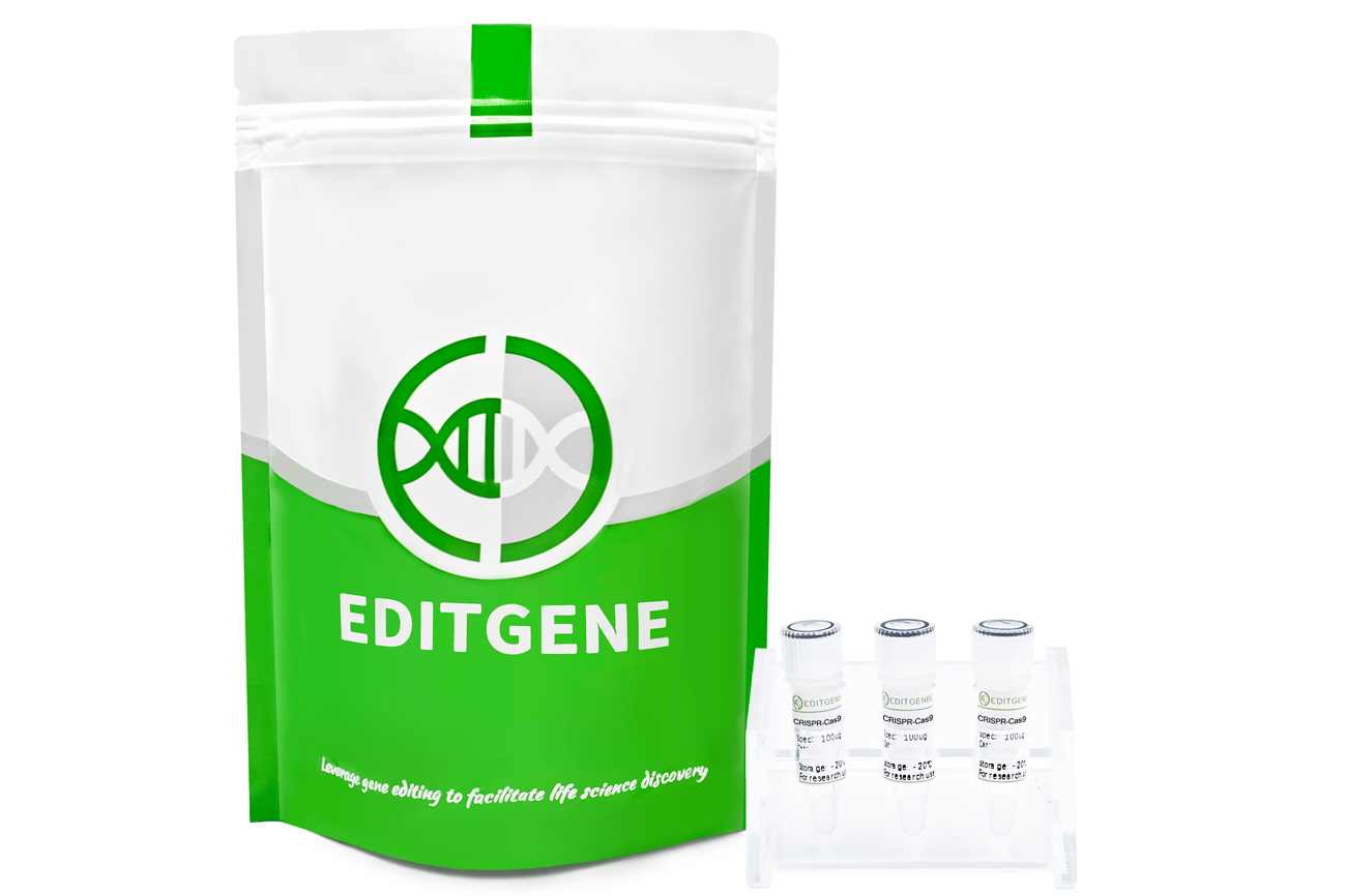 Bassik lab Human CRISPR-Cas9 Deletion Library - Membrane proteins ...