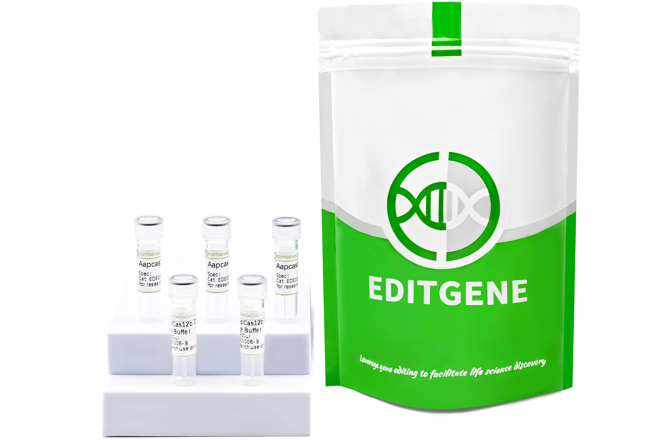 Enzymes – EDITGENE
