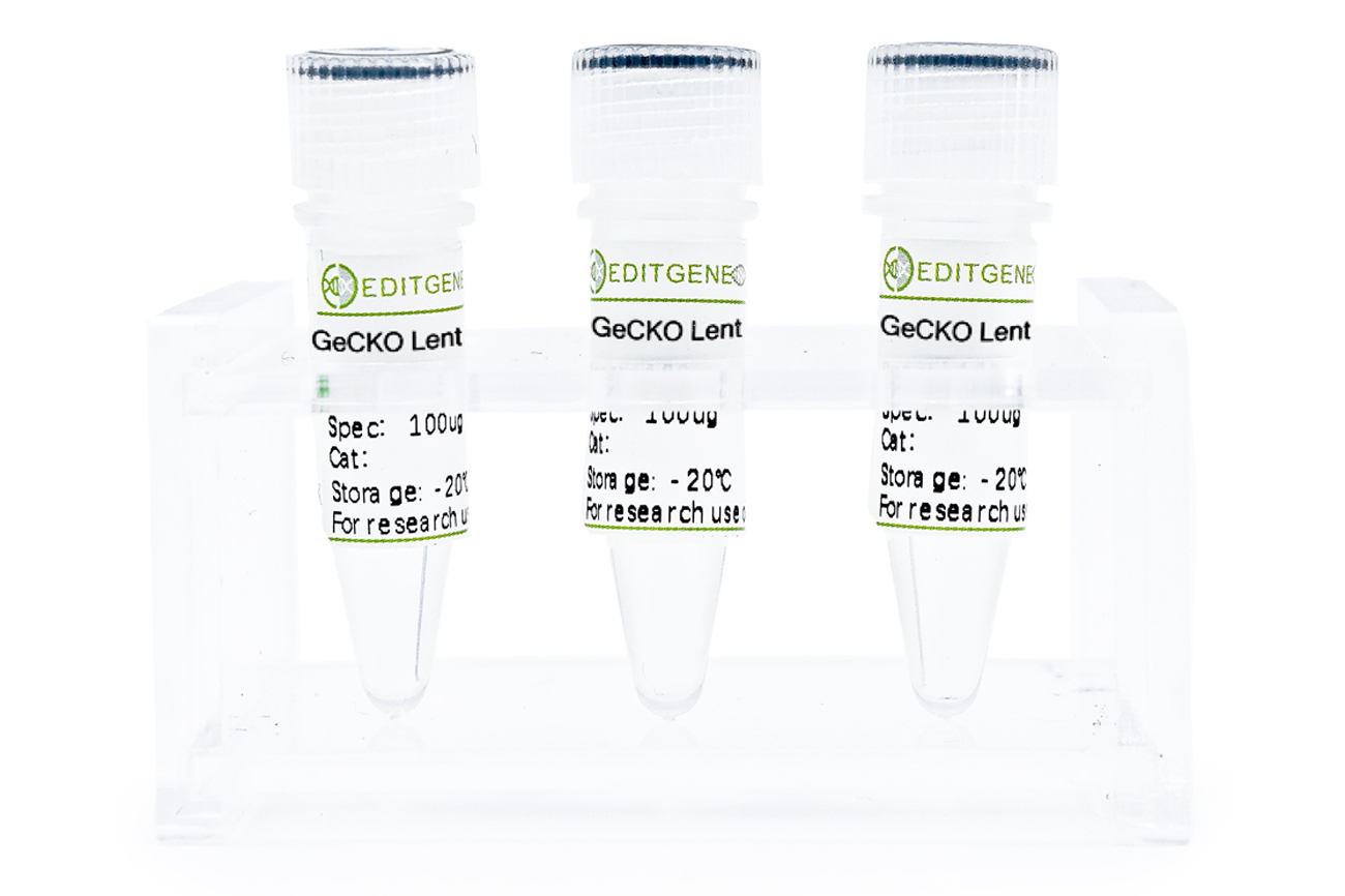 Human GeCKO Library Lentiviral sgRNA Library v2 (LentiCRISPR)（A） – EDITGENE