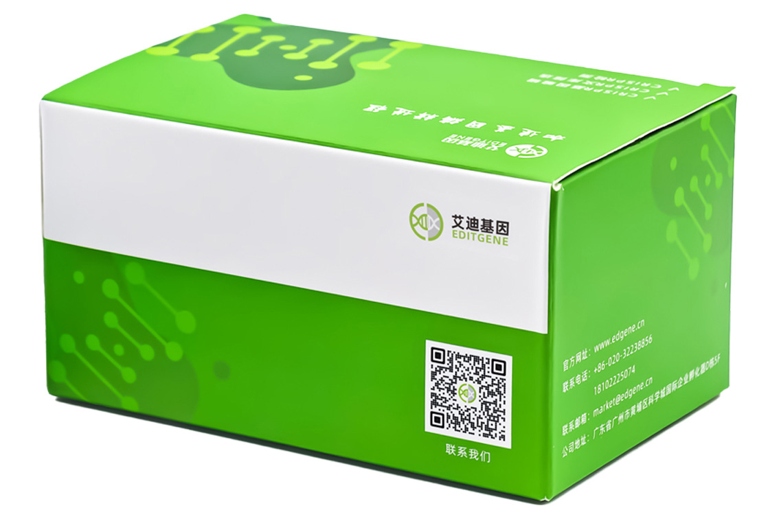 CRISPR Gene Editing|CRISPR Library|KO Cells|Knockin Cells|Cas12a ...