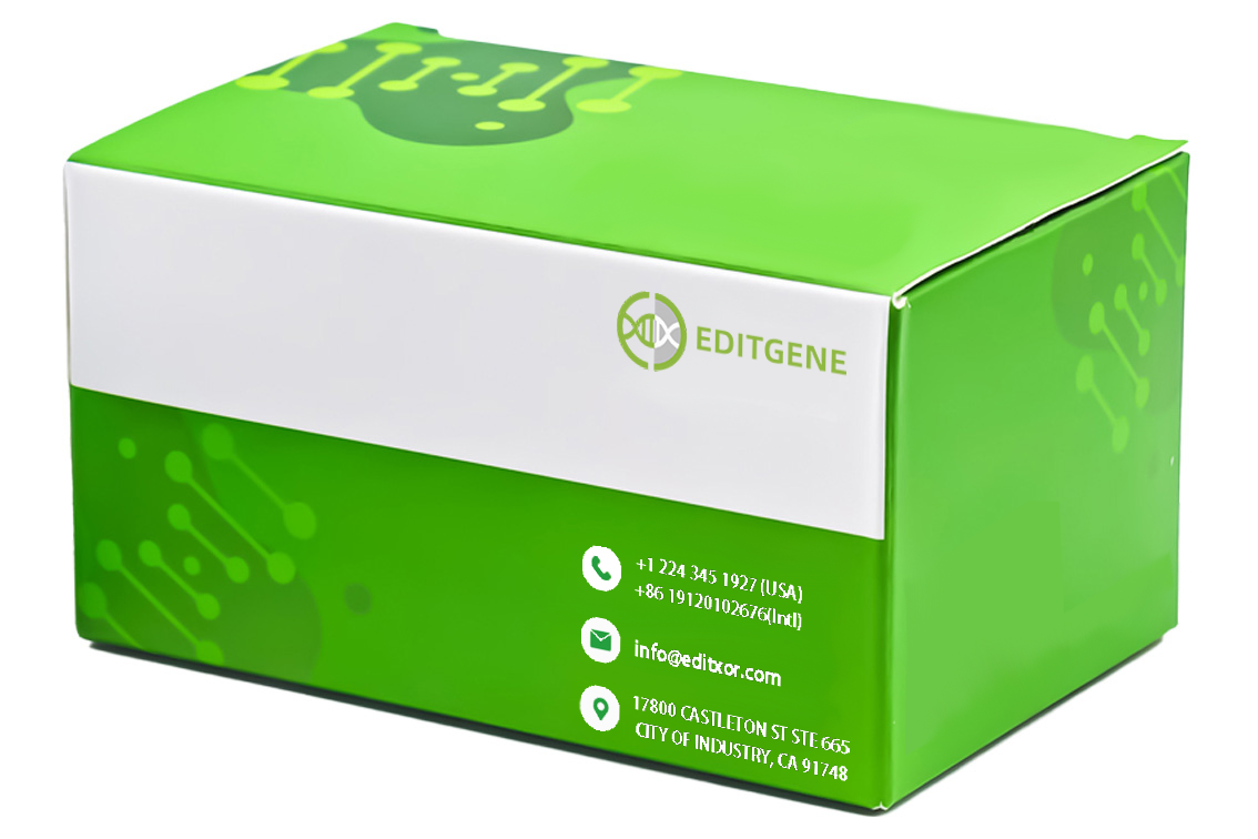 DNA Isothermal Amplification Kit (Basic Version) Company | DNA ...